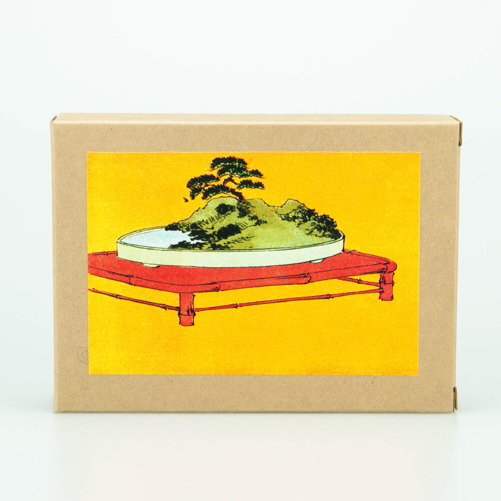 Keemun Needles 2025 – Postcard Teas – London's Finest Tea Store