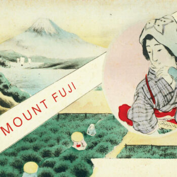 Fuji Sencha – Postcard Teas – London's Finest Tea Store