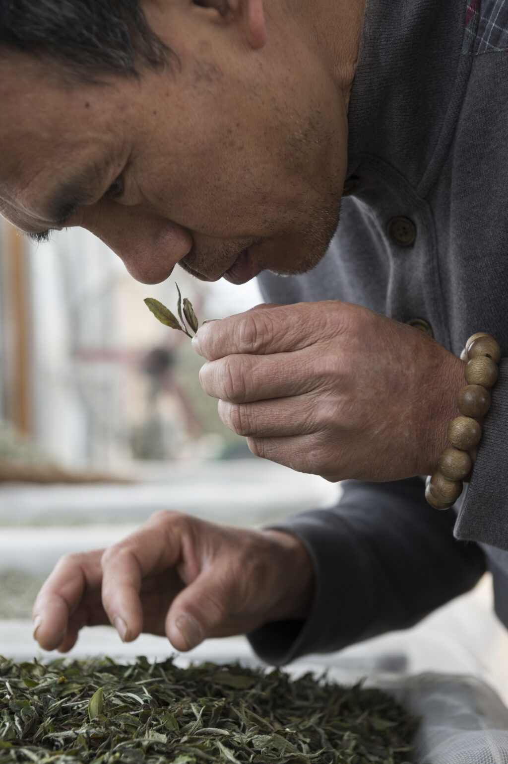 White Tea – Postcard Teas – London's Finest Tea Store