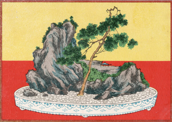 Master Xu’s Rou Gui (Tian Xin Yan) 肉桂 2021 – Postcard Teas – London's ...